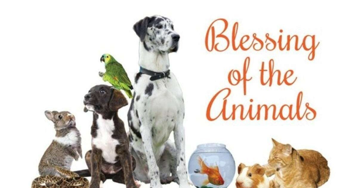 Pet Blessings in the Spirit of St. Francis of Assisi - AD Today